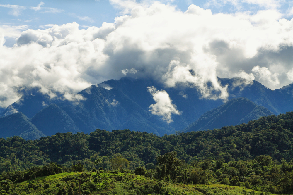 10 Most Biodiverse Countries in the World - Insider Monkey