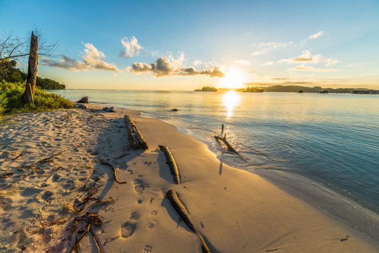 10 Most Biodiverse Countries in the World - Insider Monkey