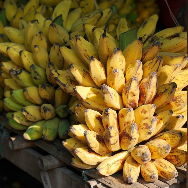 10 Countries that Export The Most Bananas in The World - Insider Monkey