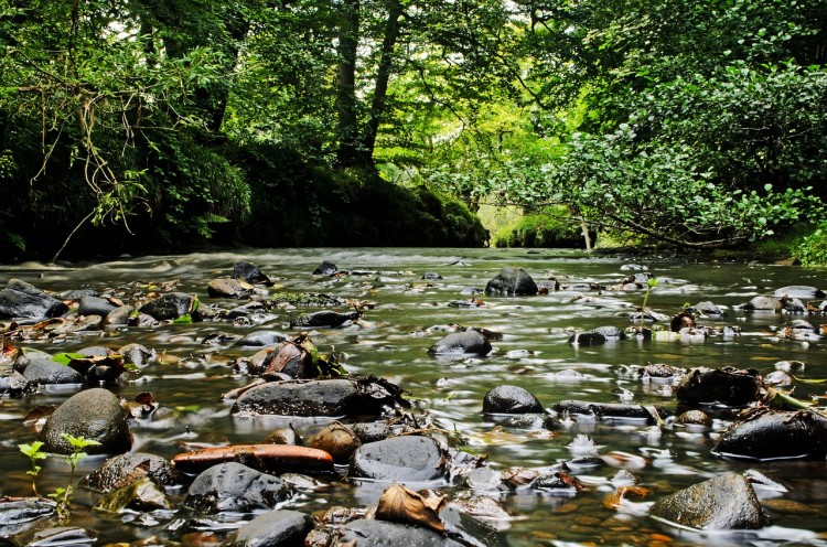 6 Most Dangerous Rivers in England - Insider Monkey