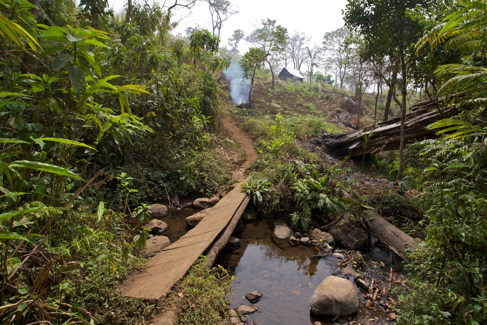 7 Best Places To Visit in Cameroon Before You Die - Insider Monkey