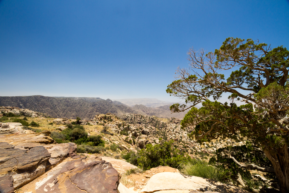 10 Countries with the Lowest Rainfall - Insider Monkey