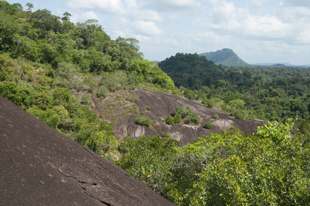 7 Best Places to Visit in Suriname Before You Die - Insider Monkey