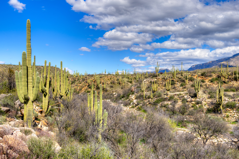 9 Affordable Places to Travel in Summer in America - Insider Monkey