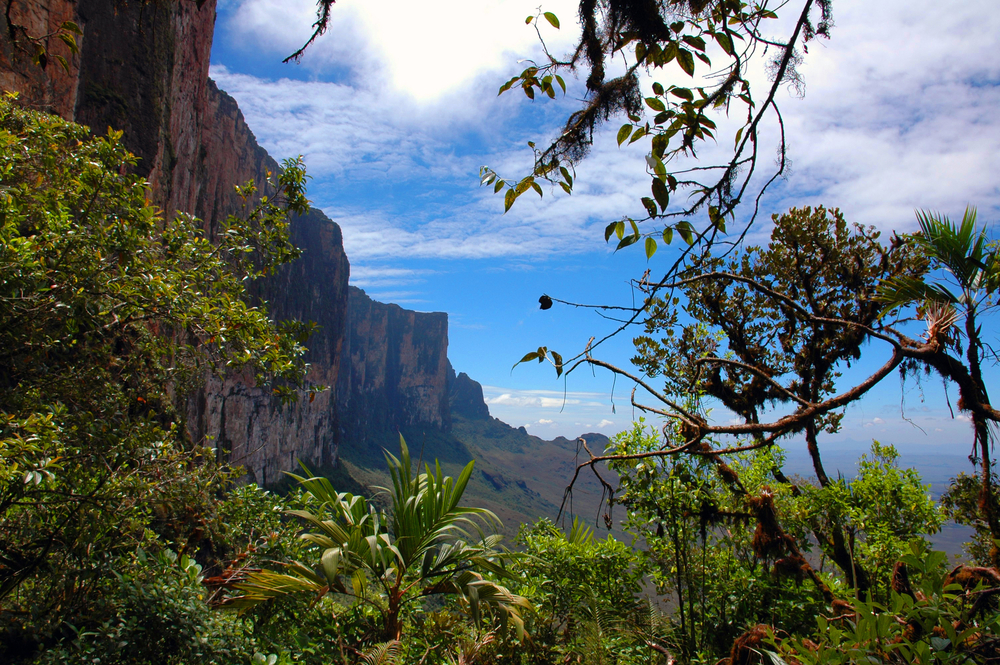 7 Best Places to Visit in Guyana Before You Die - Insider Monkey