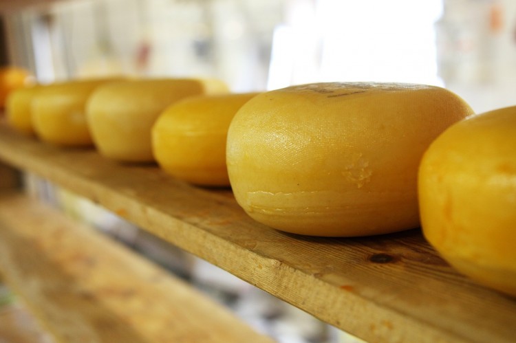 11 Most Expensive Cheeses in the World - Insider Monkey