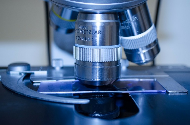 7 Most Affordable Caribbean Medical Schools Insider Monkey 7-most-affordable-caribbean-medical-schools-insider-monkey