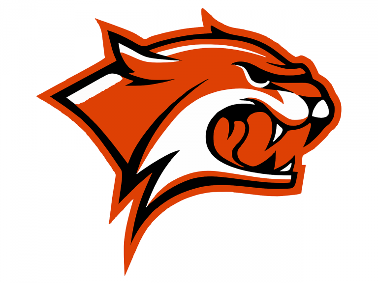 20 Most Popular High School Mascots - Insider Monkey