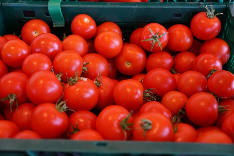 8 Countries that Produce the Most Tomatoes in the World - Insider Monkey