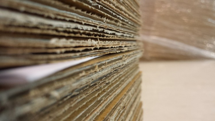 8 Countries That Produce the Most Paper in the World - Insider Monkey