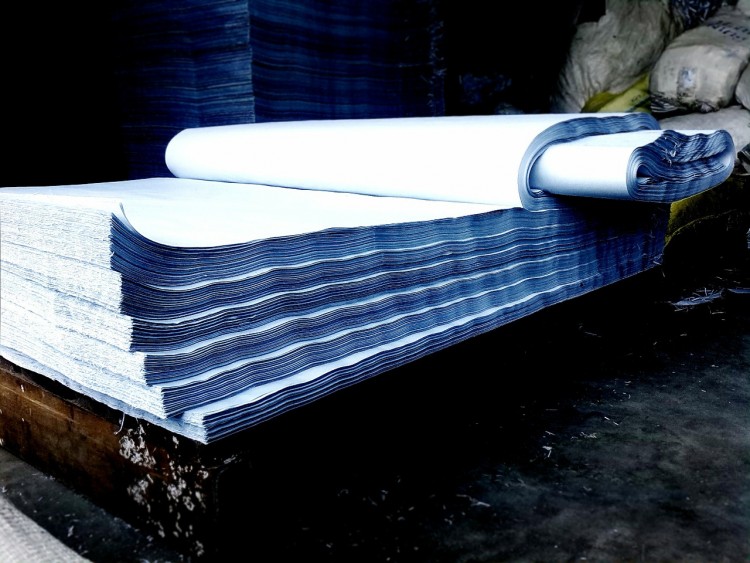 8 Countries That Produce the Most Paper in the World - Insider Monkey