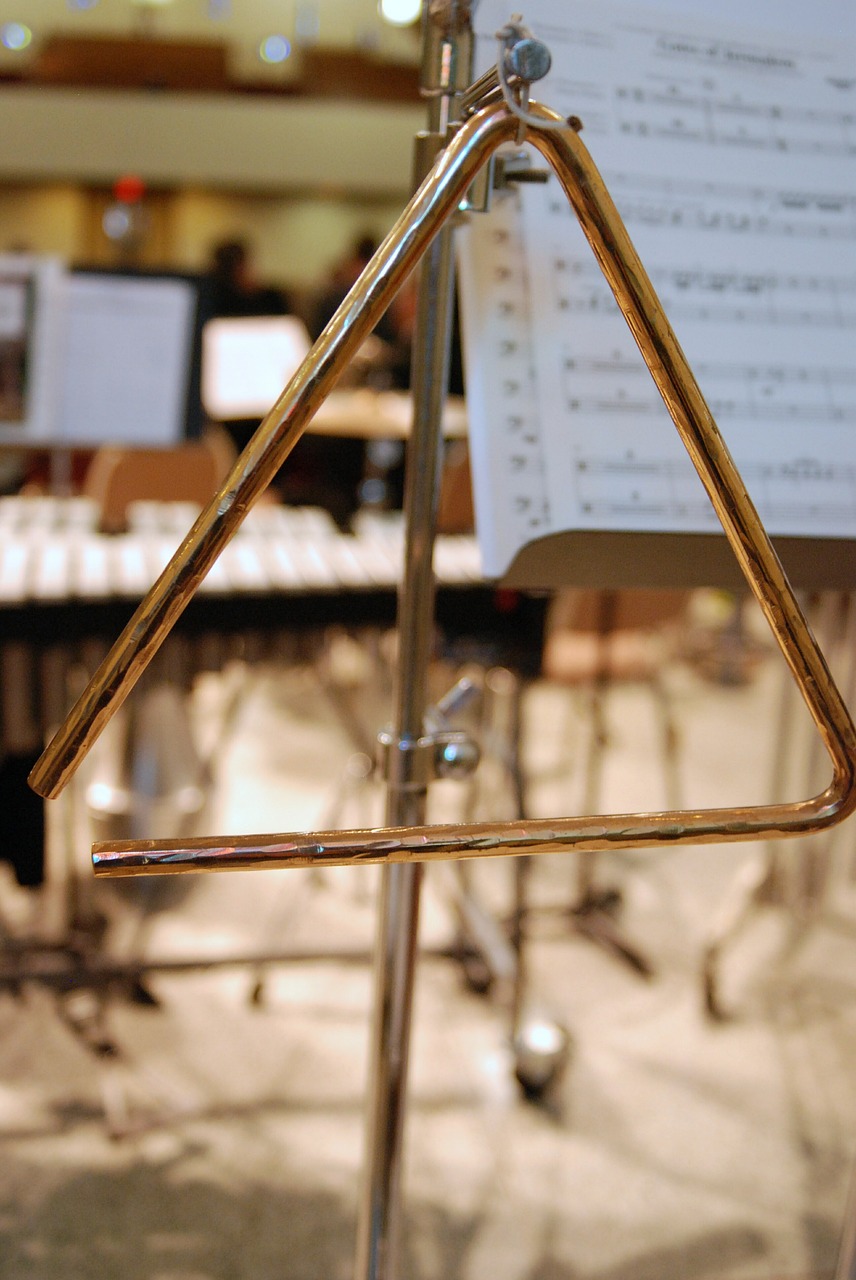 10 Most Annoying and Hated Musical Instruments in the World - Insider ...