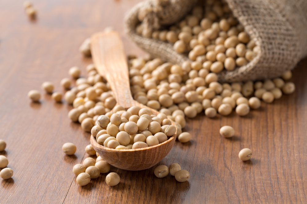 5 Best Seed Treatment Methods for Soybean and Wheat - Insider Monkey