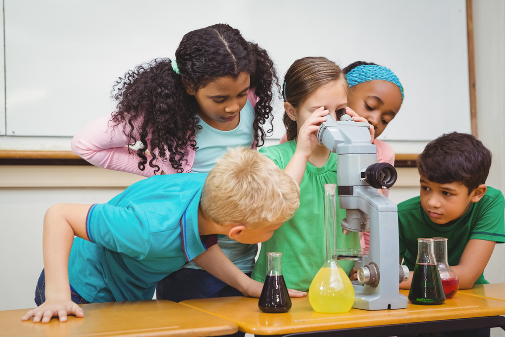 10 Quick and Easy STEM Activities for Elementary School Students ...
