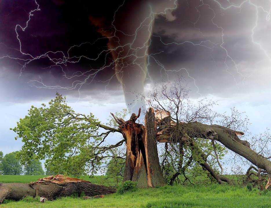 5 Most Dangerous States for Natural Disaster - Insider Monkey