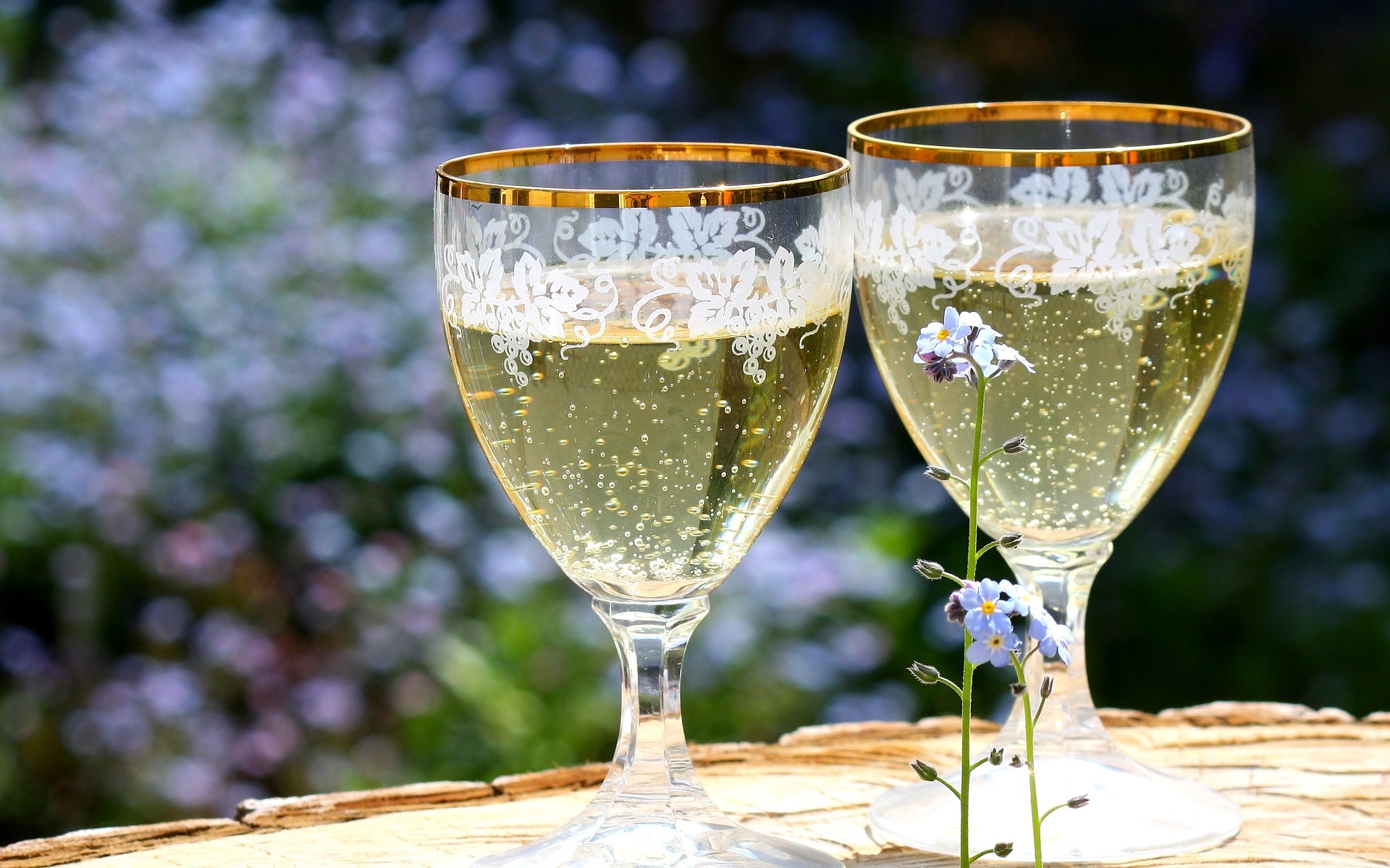 5 Highest Quality Champagne Brands Under $300 - Insider Monkey