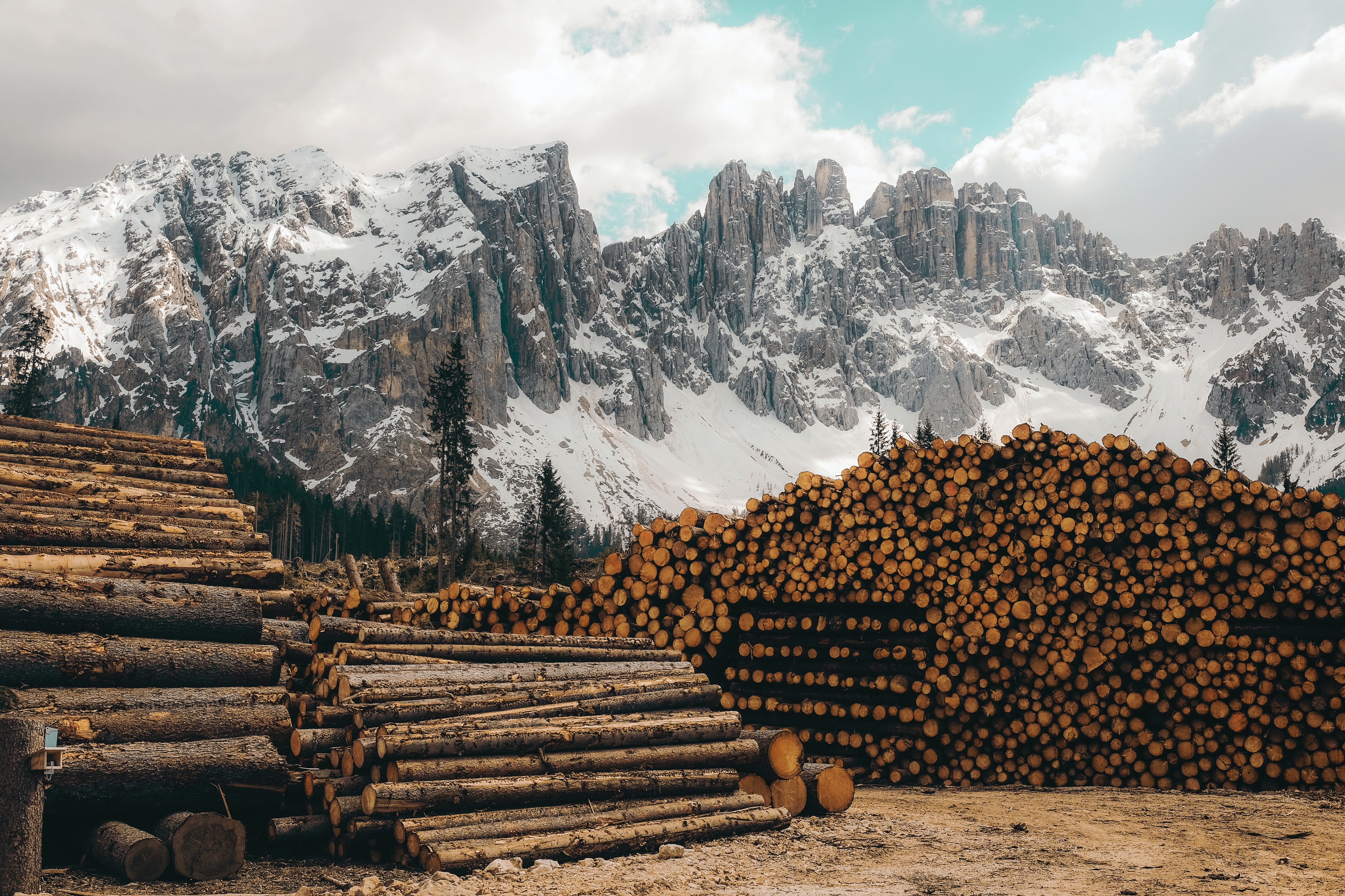 15 Biggest Lumber Companies in the World - Insider Monkey