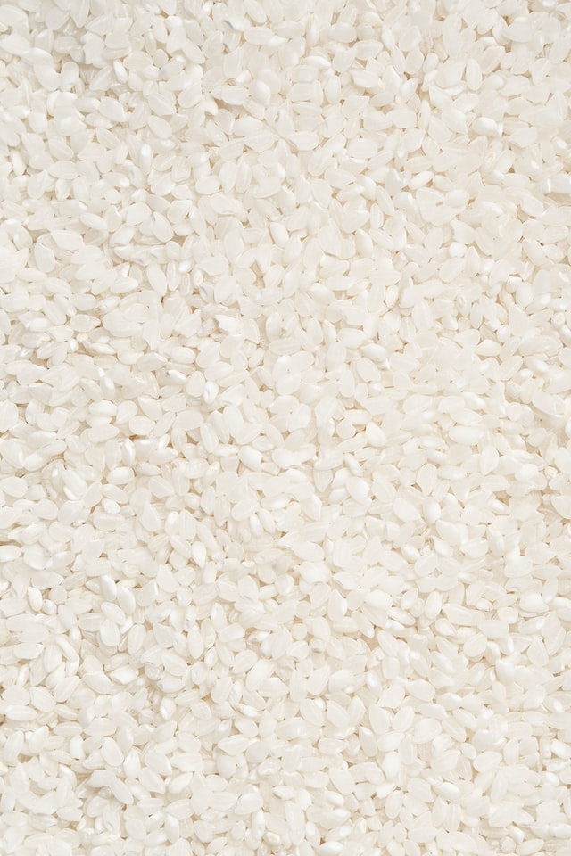 RiceBran Technologies (NASDAQ:RIBT) Q4 2022 Earnings Call Transcript ...